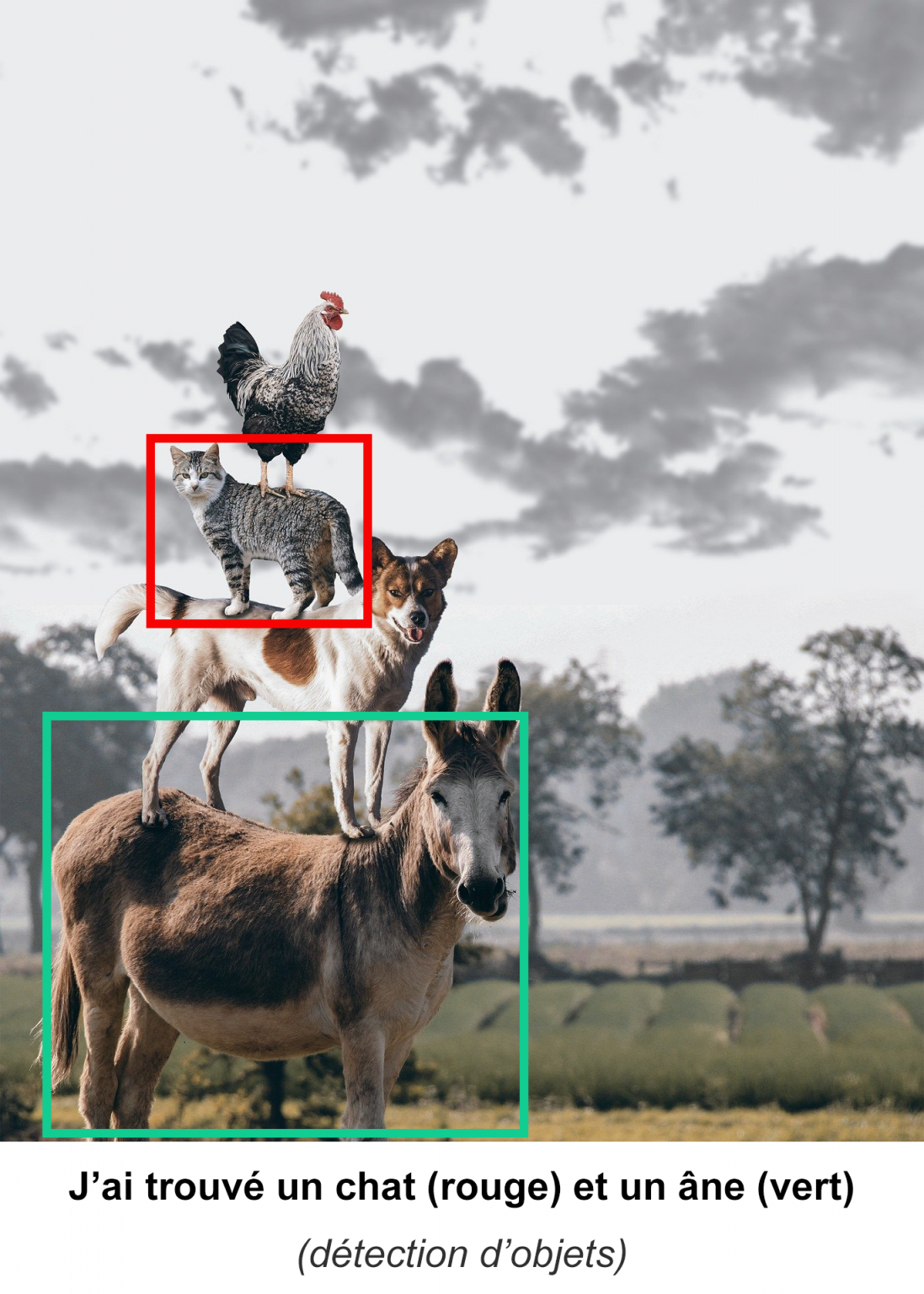 TP : Détection d'objet à partir d'une IA pré-entraînée - Pensée ...